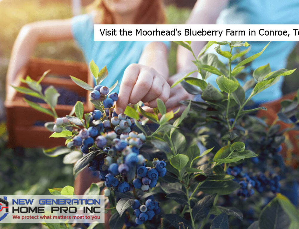 10 Home Automation Ideas For 2021 - New Generation Home Pro Inc.